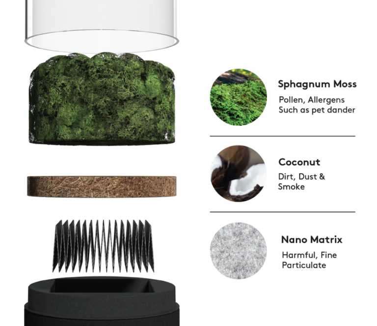 Clean air inspired by nature - Meet Briiv 2.0 Air Purifier - vosgesparis